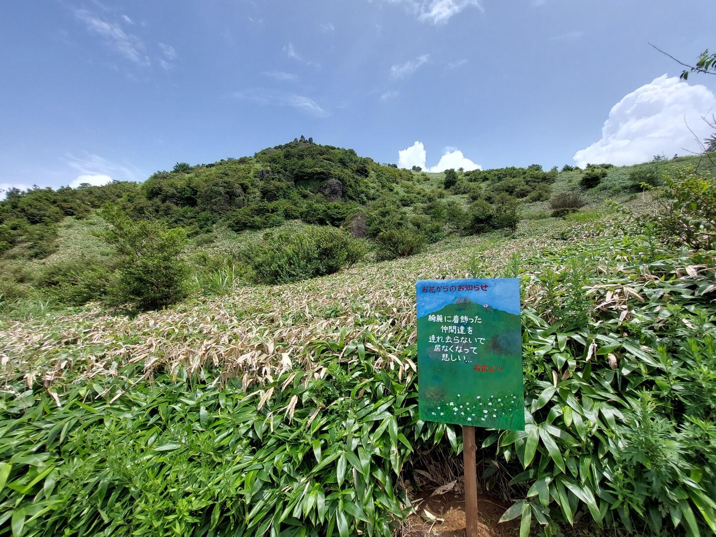 福智山 / Asami-Mさんの福智山・尺岳・雲取山の活動データ | YAMAP / ヤマップ