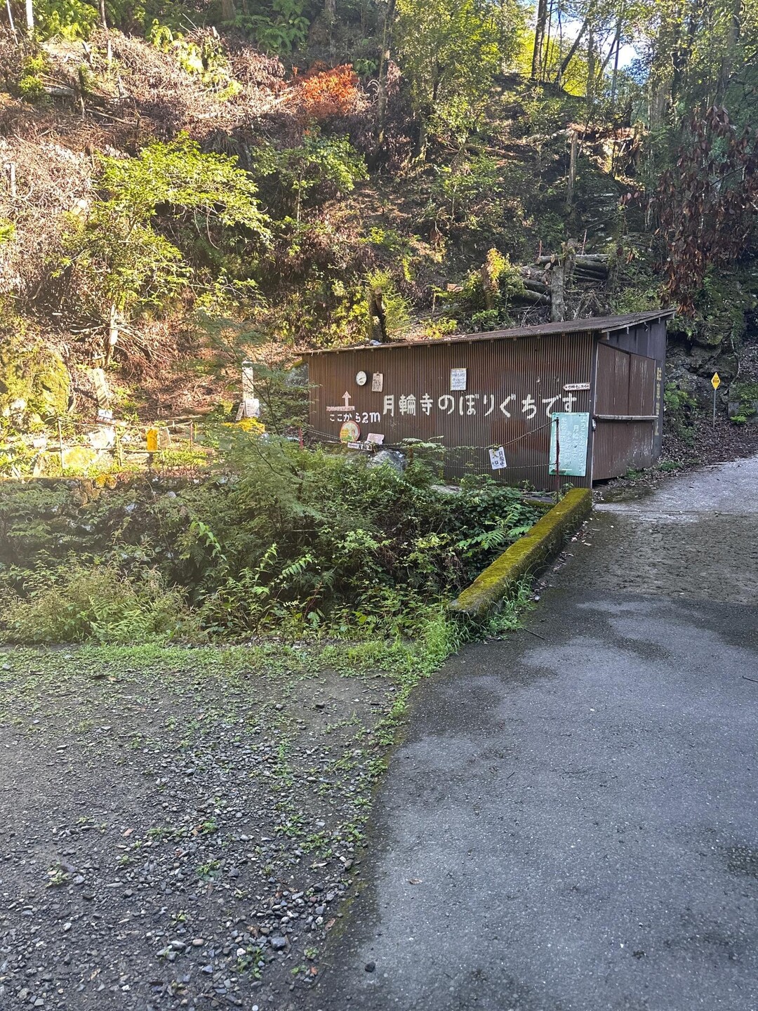 もっちさんの投稿したフィールドメモ | YAMAP / ヤマップ