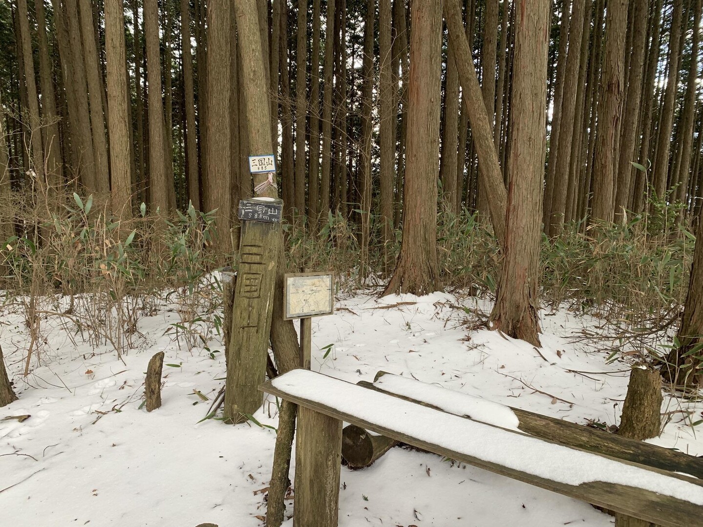 堂山・宿山・三国山 / mh-mhさんの金剛山・二上山・大和葛城山の活動データ | YAMAP / ヤマップ