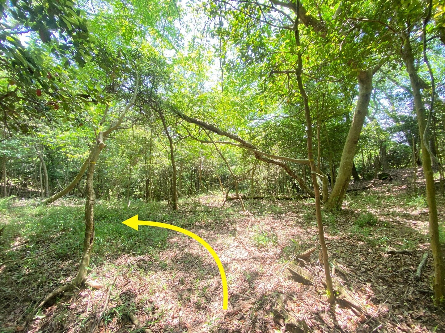 Taka32さんの投稿したフィールドメモ | YAMAP / ヤマップ