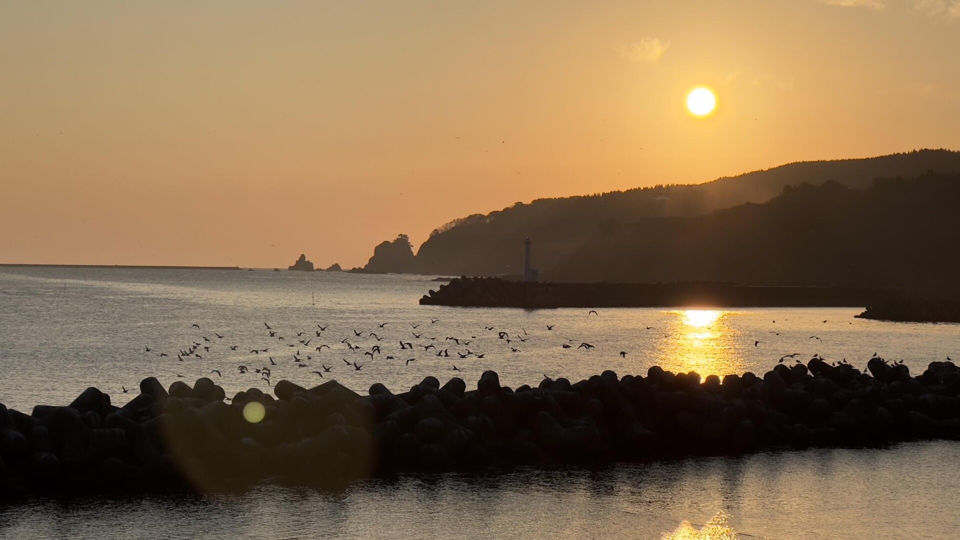 みちのく潮風トレイル 久慈市ルート-野田まで ミチ⑤🦛 ︎ / nepukoさんのみちのく潮風トレイル 久慈市ルートの活動日記 | YAMAP / ヤマップ