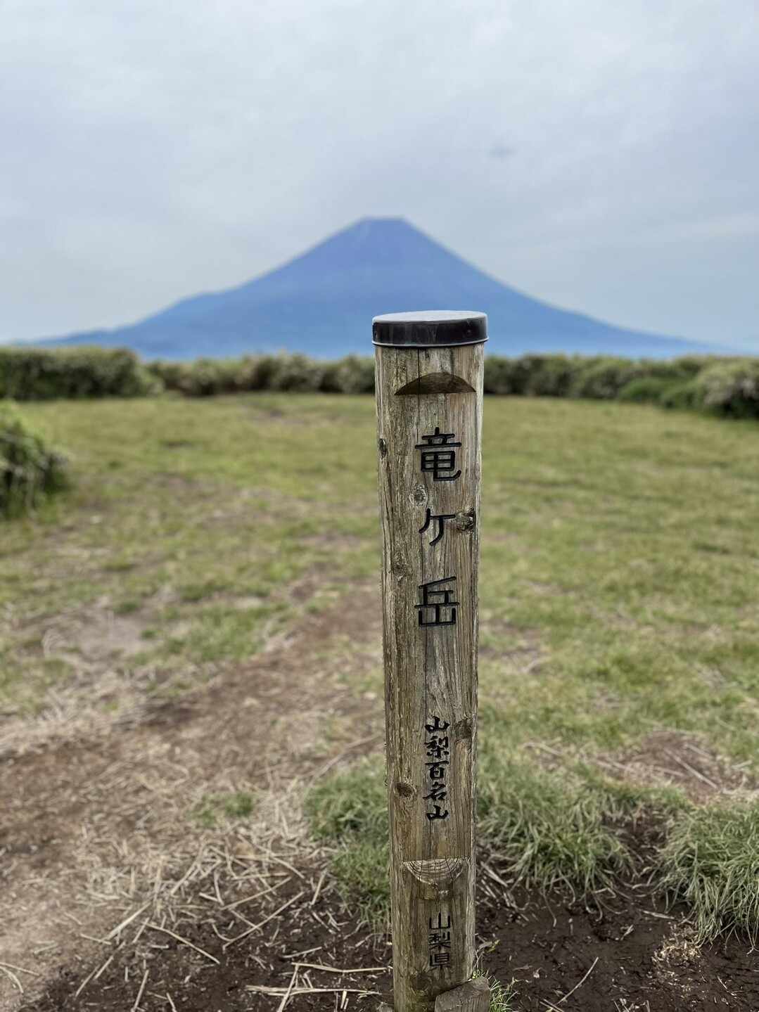竜ヶ岳-2023-06-18 / Josephさんの毛無山・雨ヶ岳・竜ヶ岳の活動データ | YAMAP / ヤマップ
