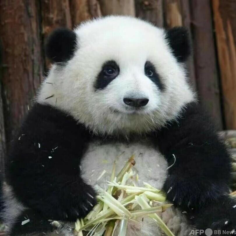 pankoのページ | YAMAP / ヤマップ