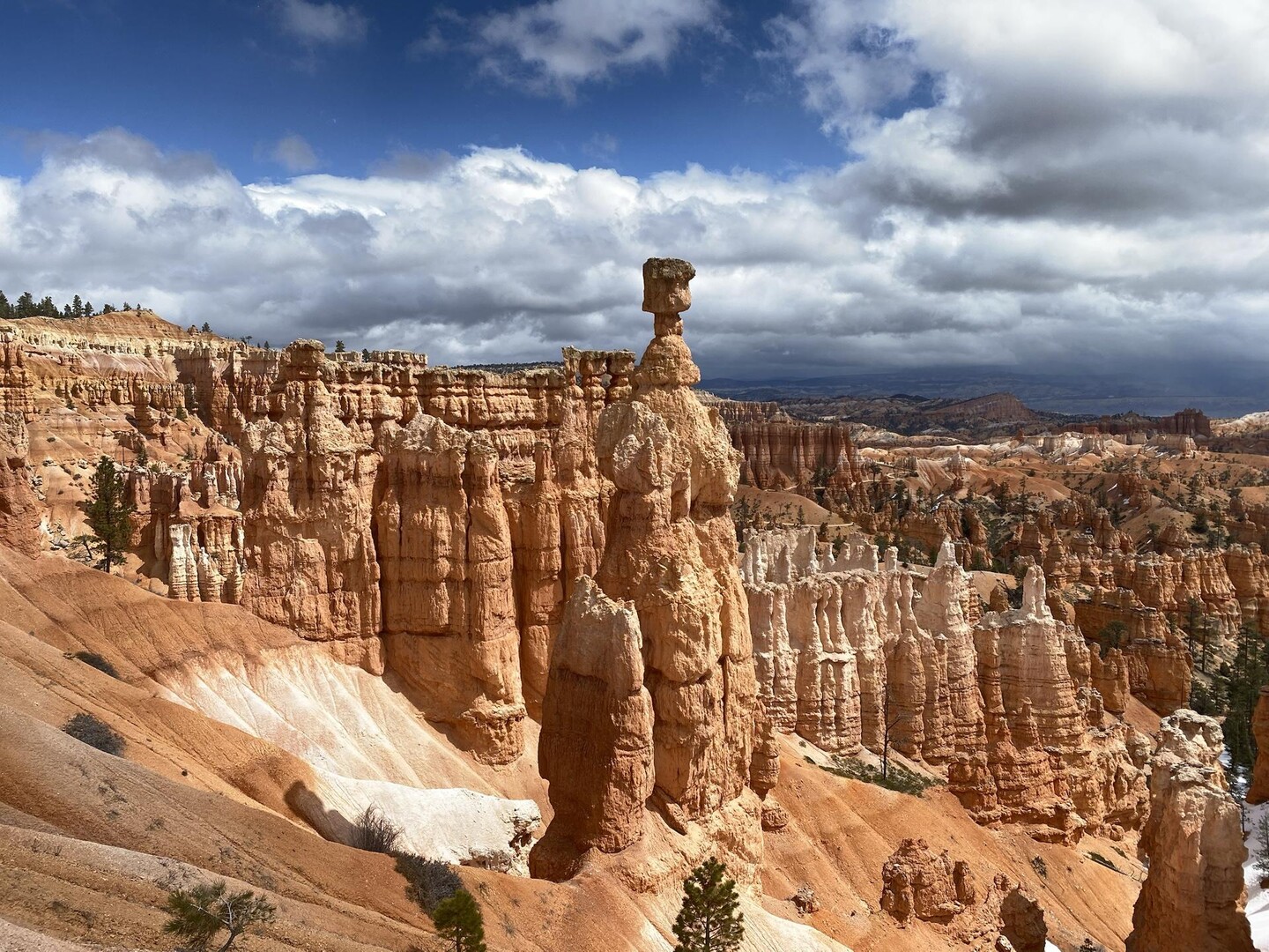 ブライスキャニオンでもYAMAP！ / mさんのウォーキングの活動データ | YAMAP / ヤマップ