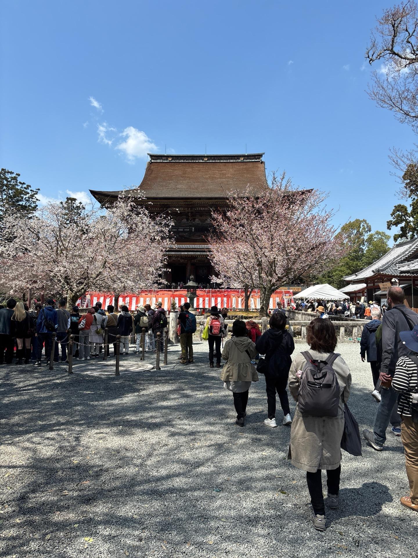 吉野山 お花見 / do-yanさんの吉野山・青根ヶ峰・百貝岳の活動日記 | YAMAP / ヤマップ