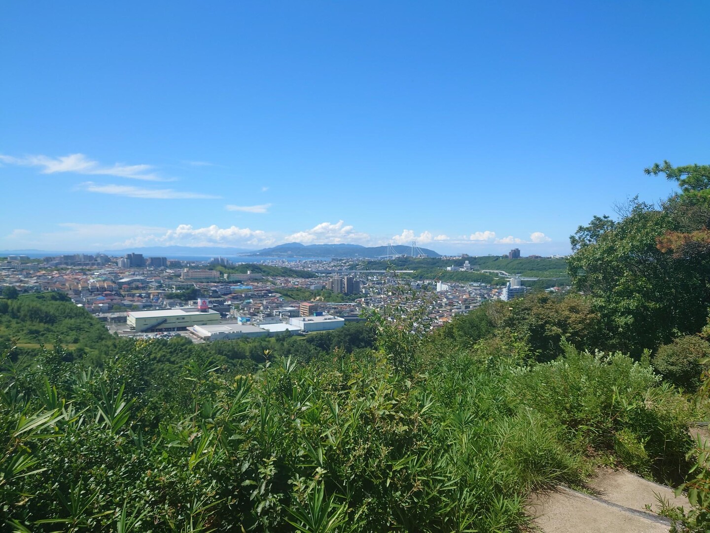 ボンボン山・落合山 / Yuuさんの六甲山・長峰山・摩耶山の活動データ | YAMAP / ヤマップ
