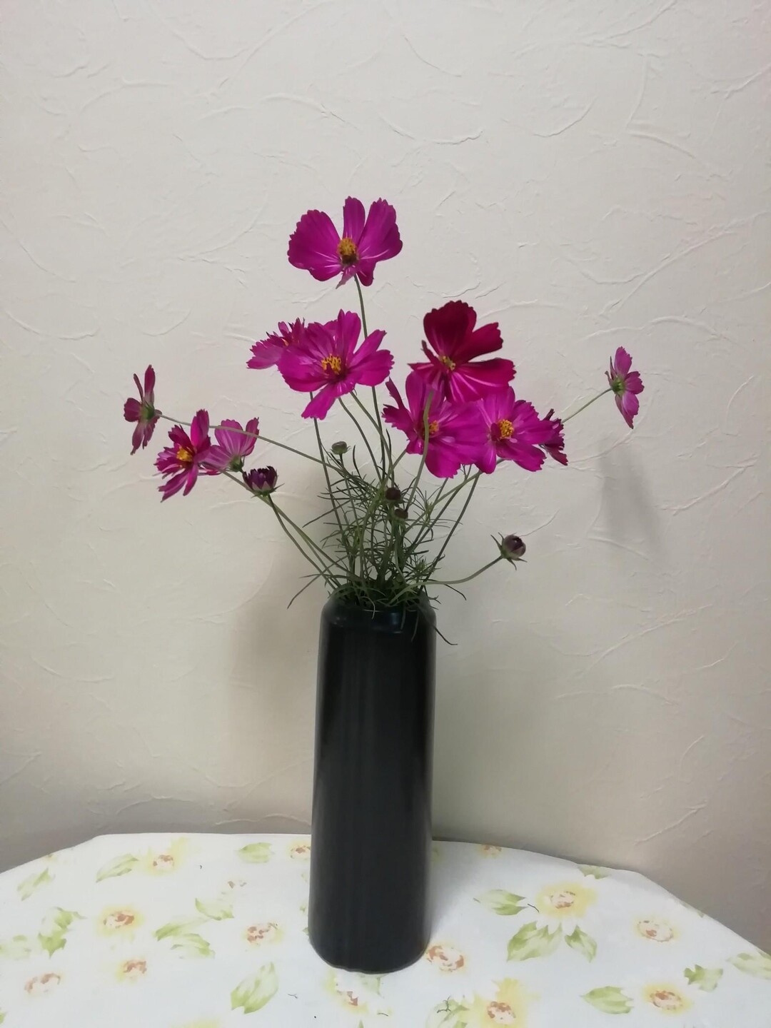 やすらぎ / ストーリーズさんのモーメント | YAMAP / ヤマップ