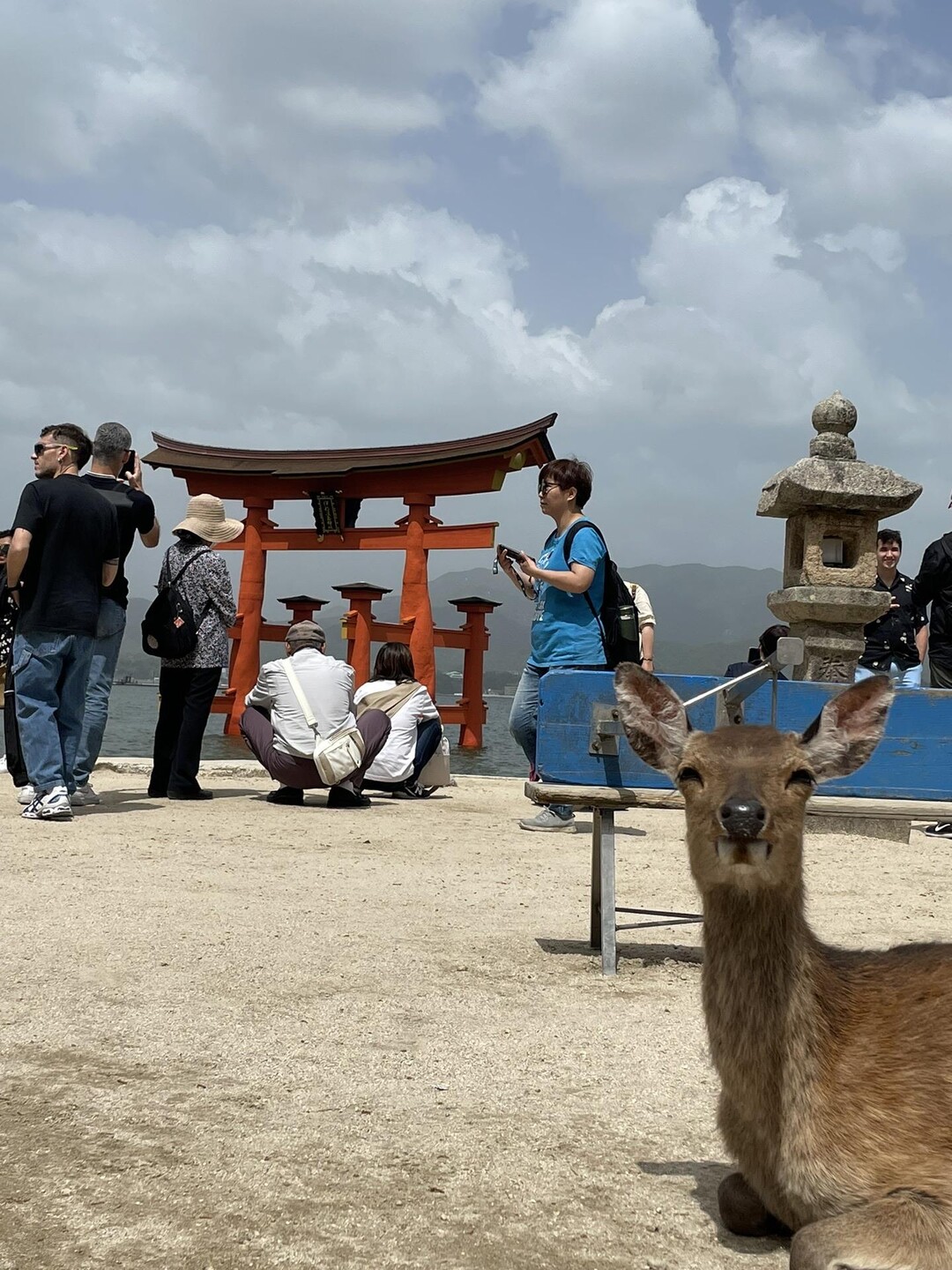 広島県遠征 弥山 / syo-taさんの宮島（厳島）・弥山の活動データ | YAMAP / ヤマップ