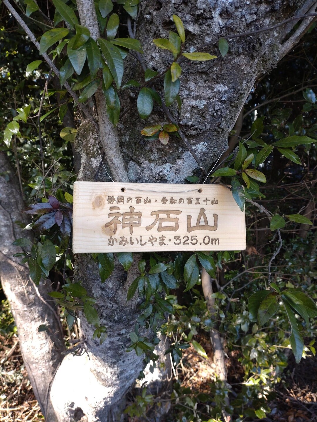 雲谷山・座談山・船形山・神石山 / のんの2さんの坊ヶ峰・石巻山・神石山・葦毛湿原の活動データ | YAMAP / ヤマップ