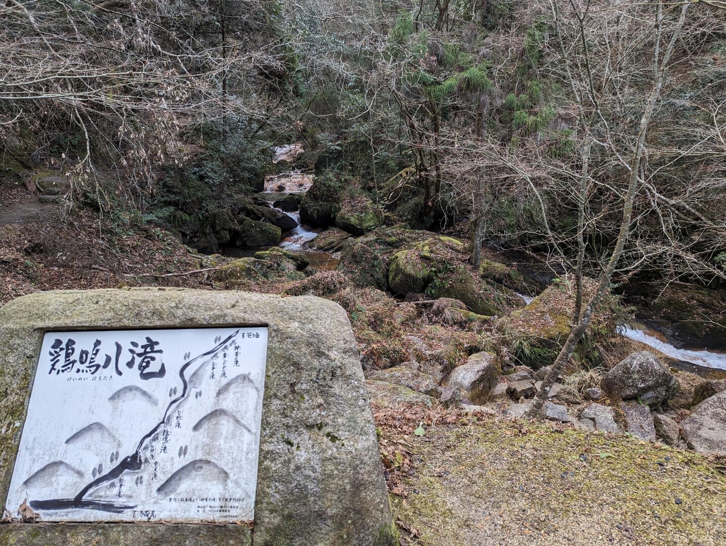 笹ヶ岳 / hana356さんの笹ヶ岳の活動データ | YAMAP / ヤマップ