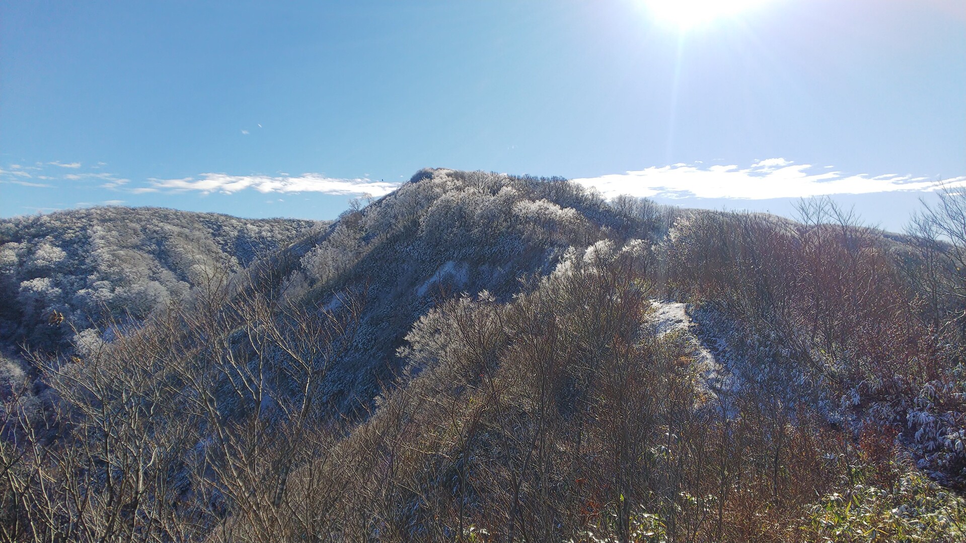 片折岳・前金剛 / i-ayさんの金剛堂山の活動データ | YAMAP / ヤマップ