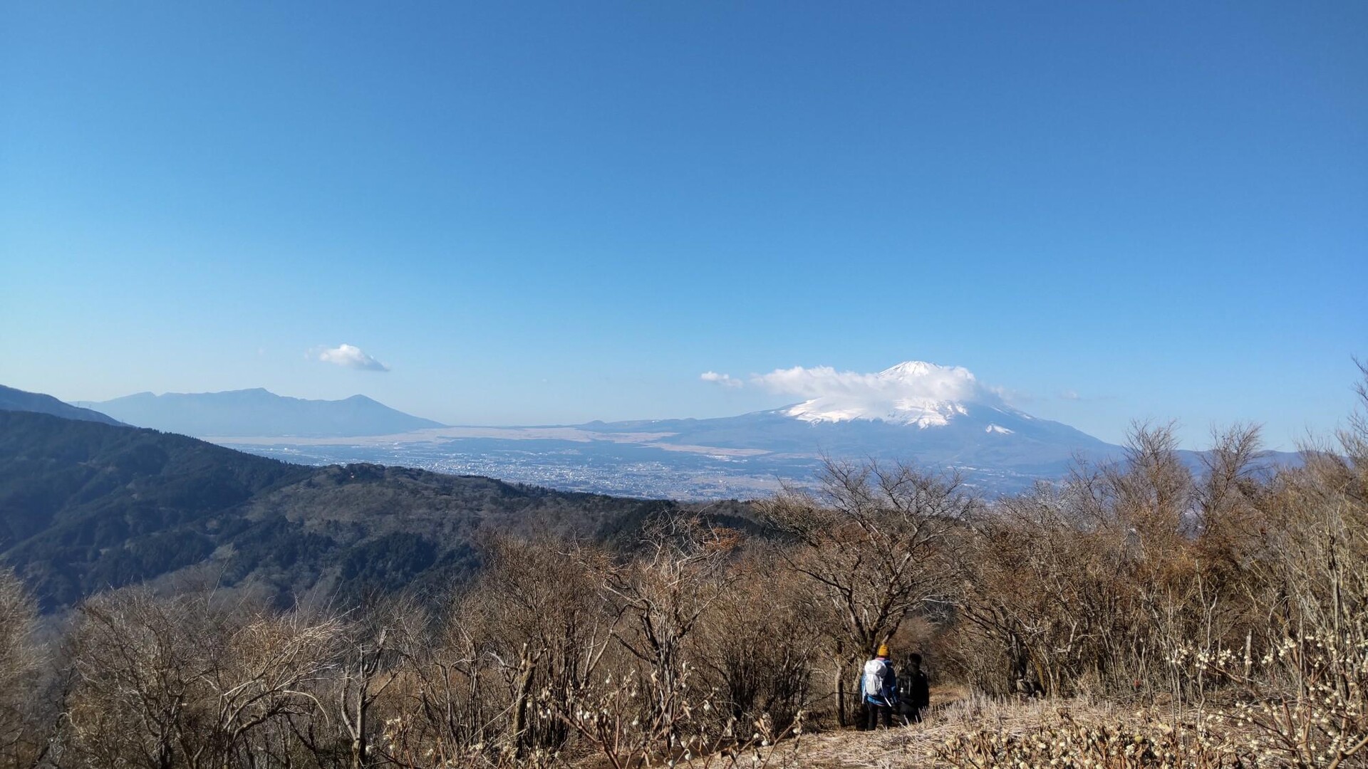 矢倉岳(矢倉沢BS〜駿河小山駅) / 441Mさんの金時山・明神ヶ岳の活動データ | YAMAP / ヤマップ
