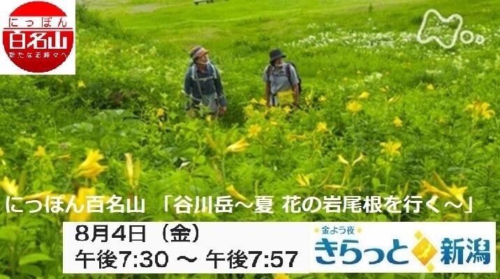 新潟県の人、限定ですが。8月4日、NHK... / Hakuさんのモーメント | YAMAP / ヤマップ
