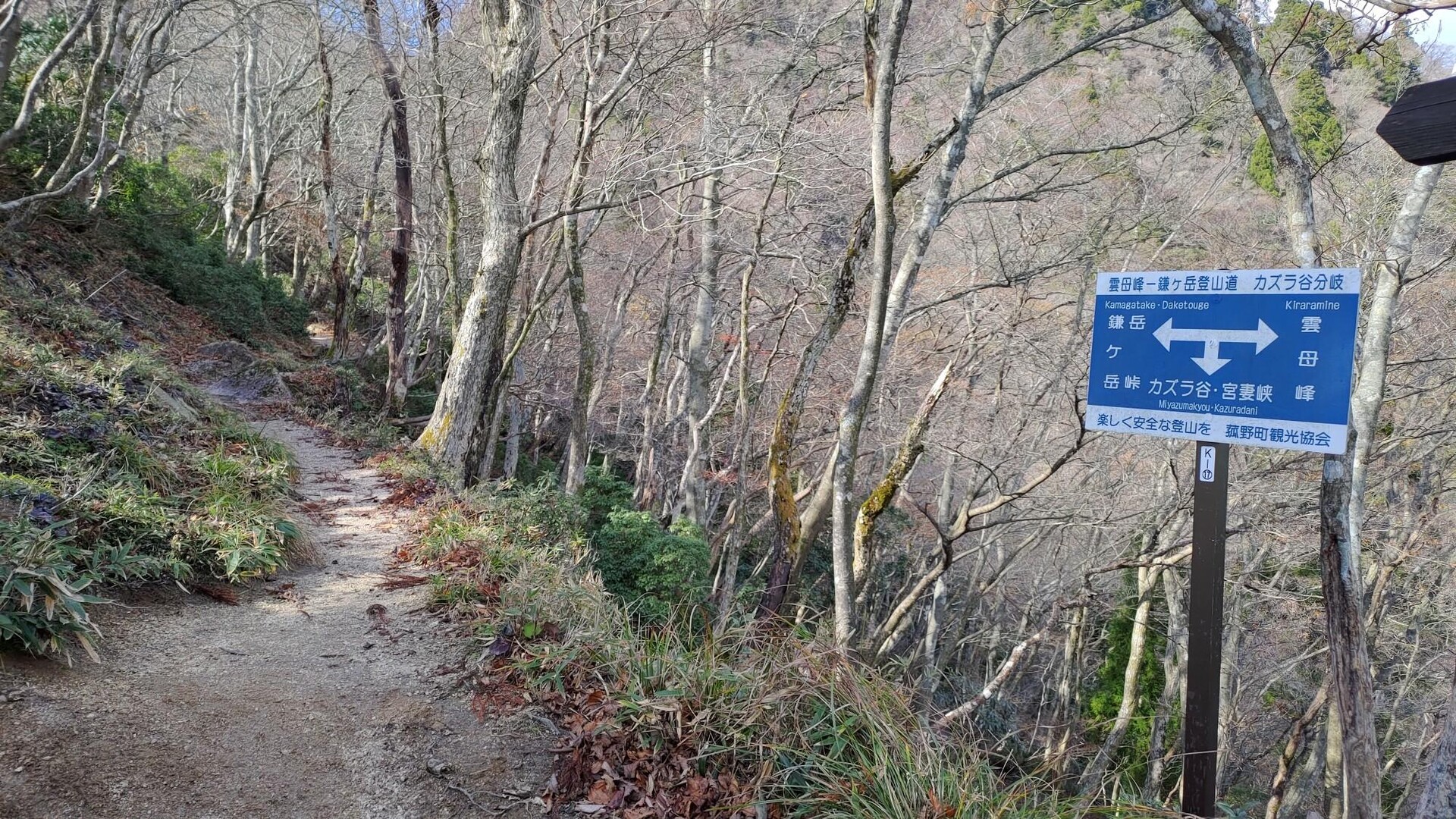 solaさんの投稿したフィールドメモ | YAMAP / ヤマップ