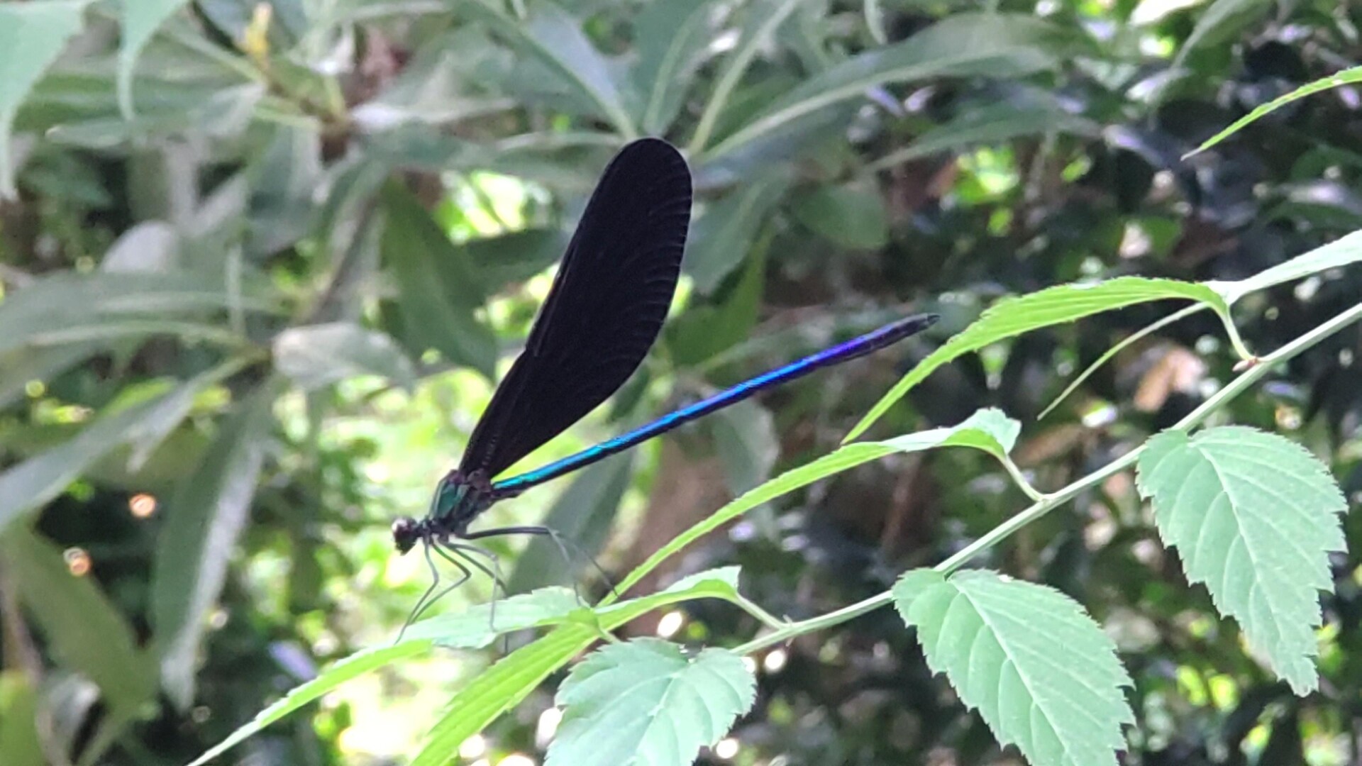 mituo-mのページ | YAMAP / ヤマップ