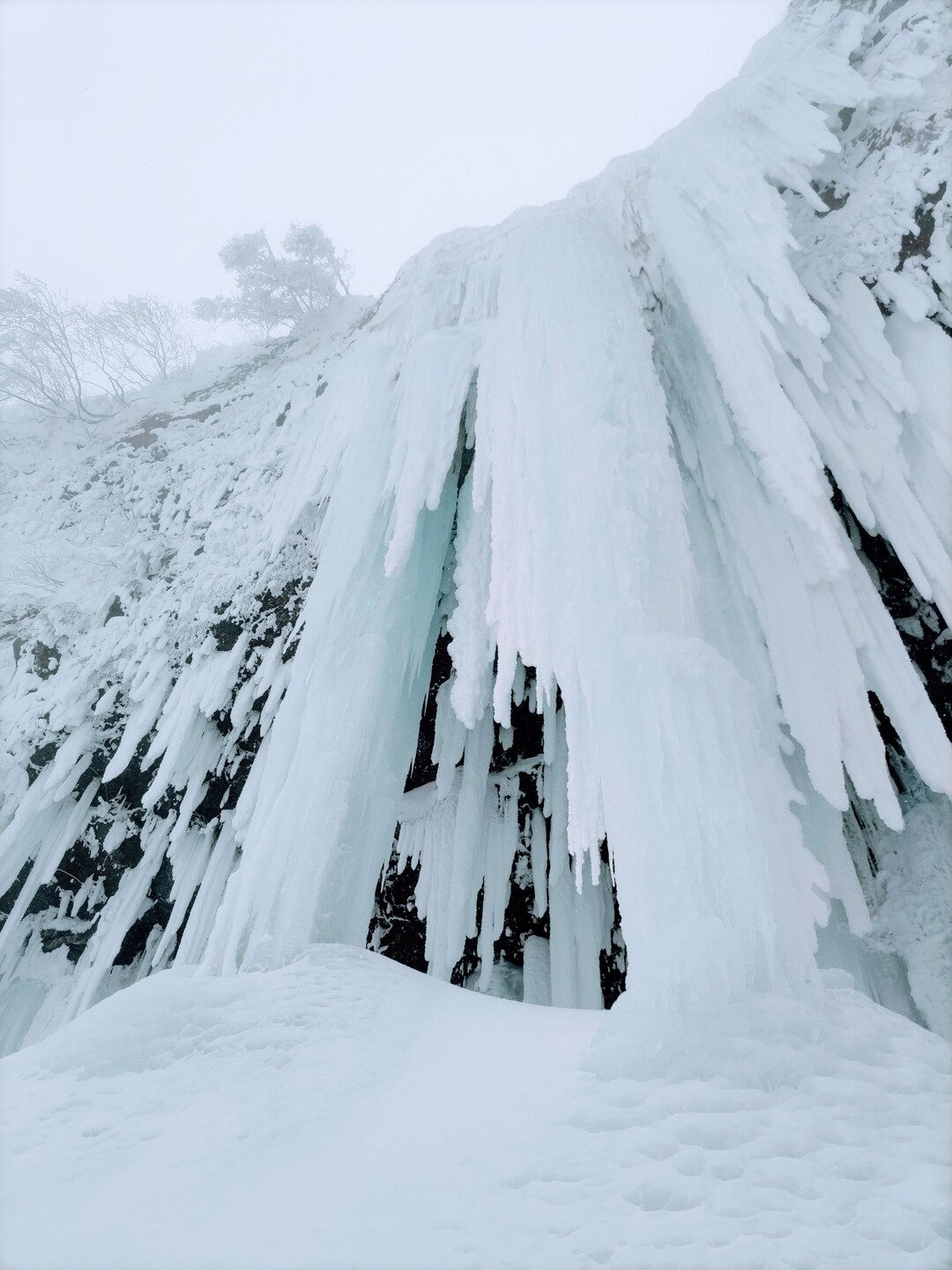 蔵王・仙人沢氷瀑 / drumscoさんの蔵王山・雁戸山・不忘山の活動データ | YAMAP / ヤマップ