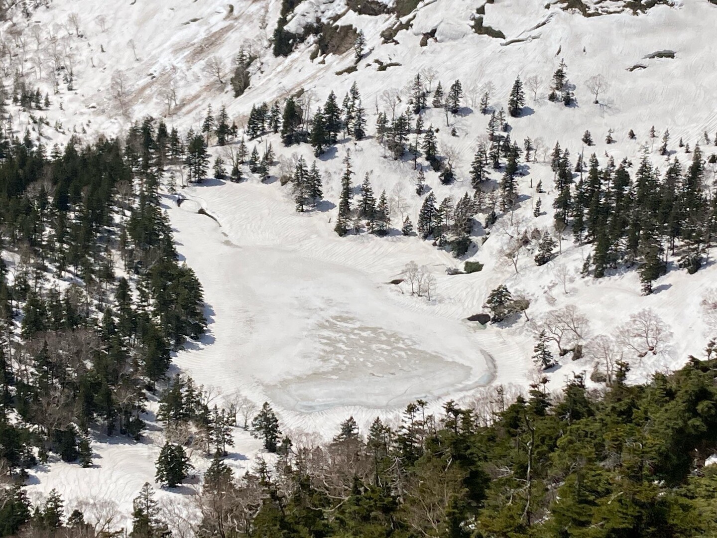眺望満点茶臼岳 / ぽっちさんの岩手山・八幡平・安比高原 50km トレイルの活動データ | YAMAP / ヤマップ