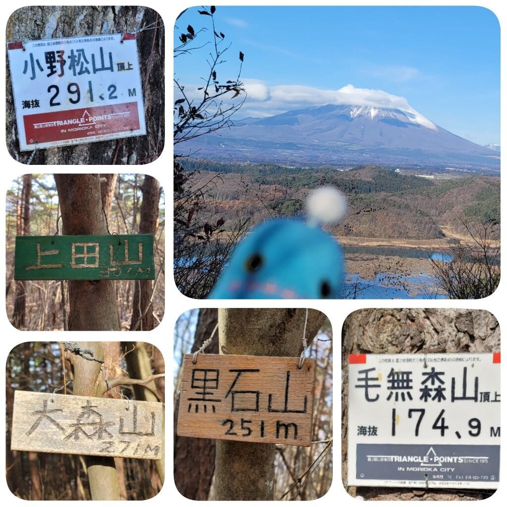 11.20 小野松山・上田山・大森山・黒石山・毛無森山 / koke🌿さんの大森山・黒石山の活動データ | YAMAP / ヤマップ