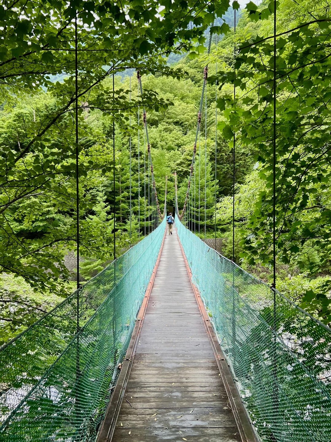 2023.07.17(月) 01:00 / taketatsuさんのモーメント | YAMAP / ヤマップ