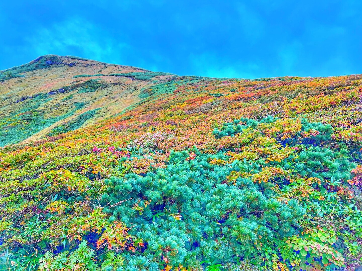 栗駒山(須川岳) / tamさんの栗駒山（須川岳）・秣岳・虚空蔵山の活動データ | YAMAP / ヤマップ