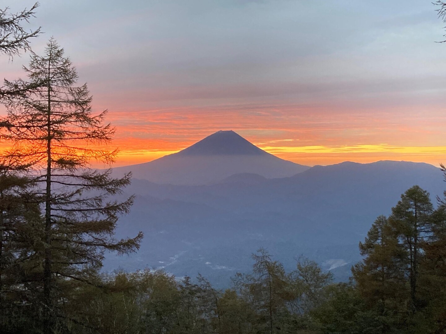 奥仙重・櫛形山 / mini98Dさんの櫛形山・裸山・唐松岳の活動データ | YAMAP / ヤマップ