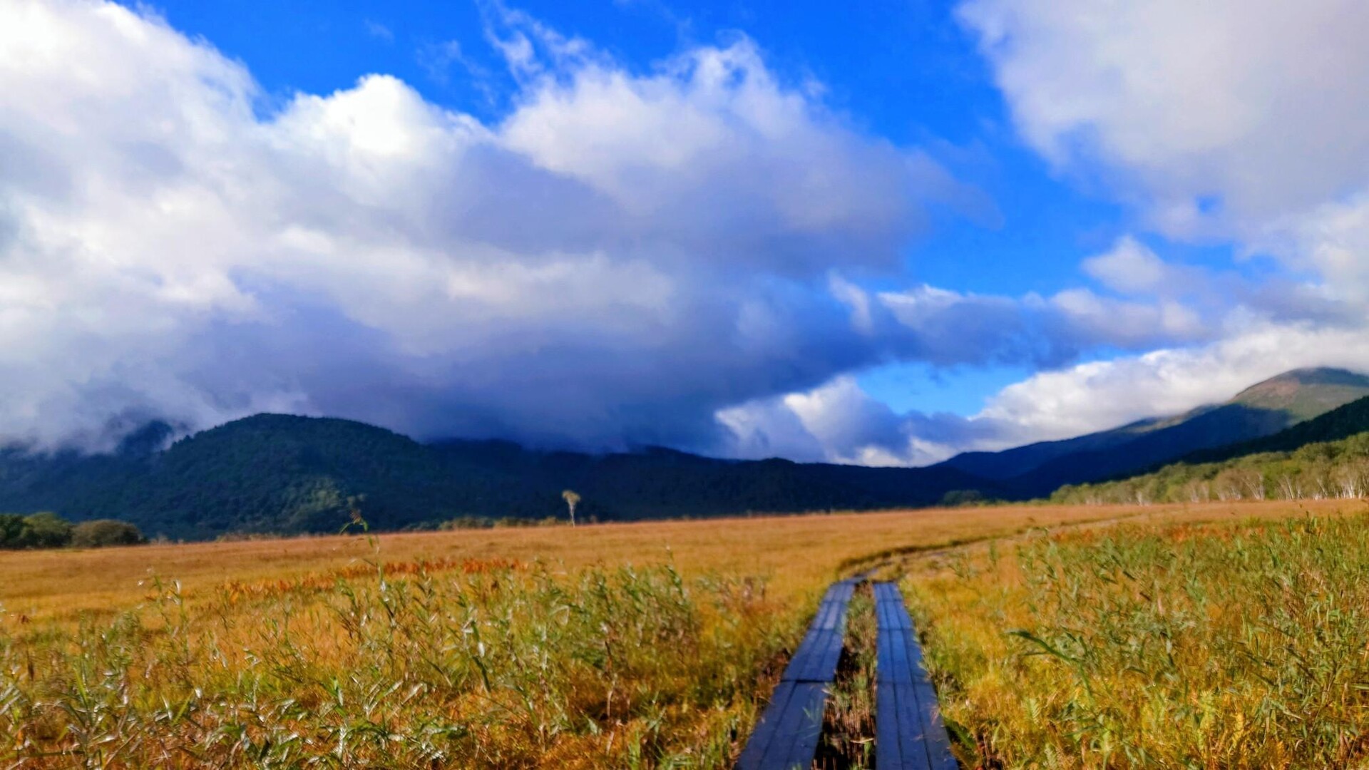紅葉シーズン開幕戦 至仏山 / capetaさんの尾瀬・燧ヶ岳の活動データ | YAMAP / ヤマップ