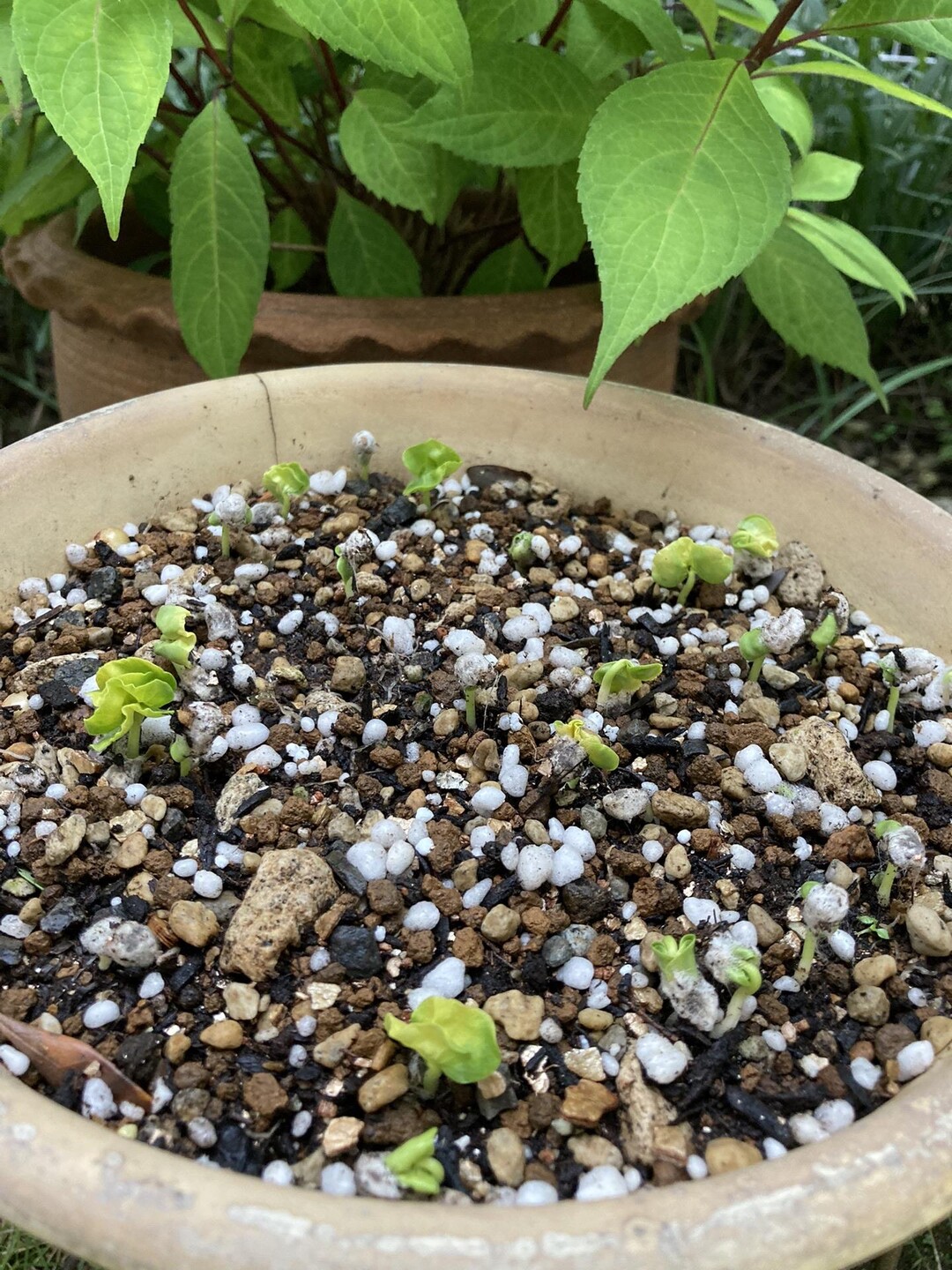 2024年7月5日(くもり) DAY4 ... / キタバさんのモーメント | YAMAP / ヤマップ