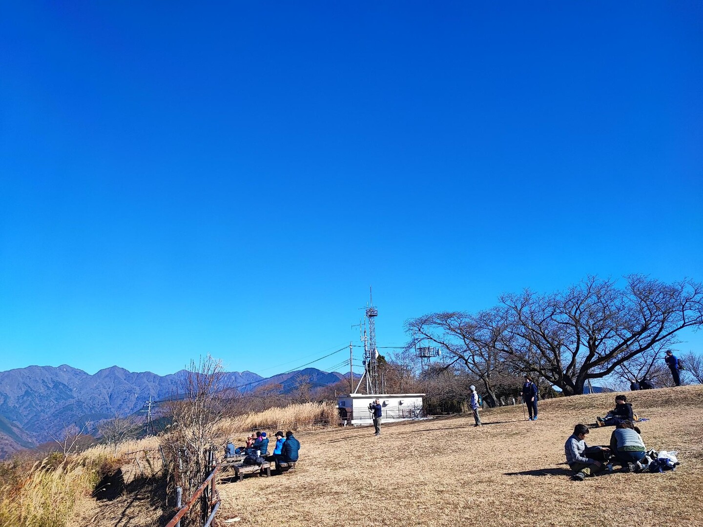 大野山☀🗻 / odanさんの高松山・大野山の活動データ | YAMAP / ヤマップ