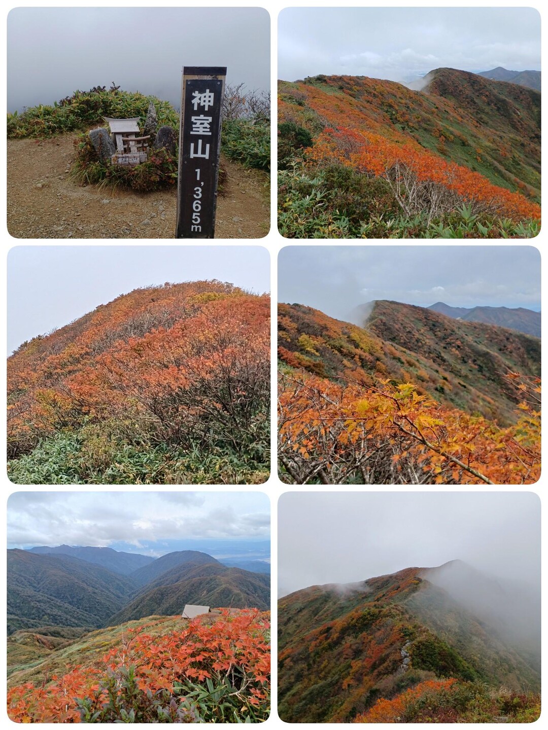 秋田県 神室山（200名山） 2022 ... / らいちょうさんのモーメント | YAMAP / ヤマップ