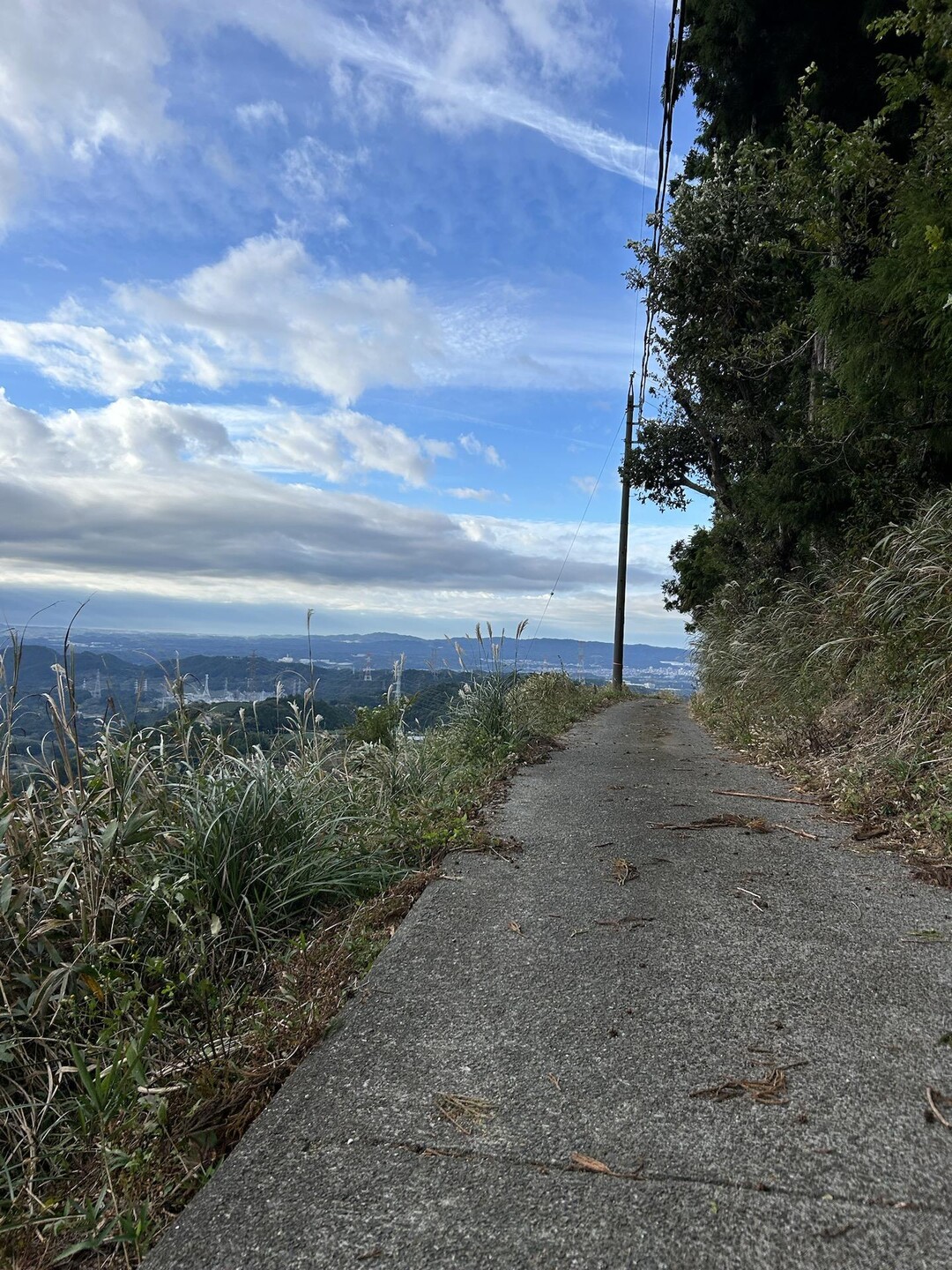 ATR試走最終チェック🏔️🏃 / おゆきさんの粟ヶ岳の活動日記 | YAMAP / ヤマップ