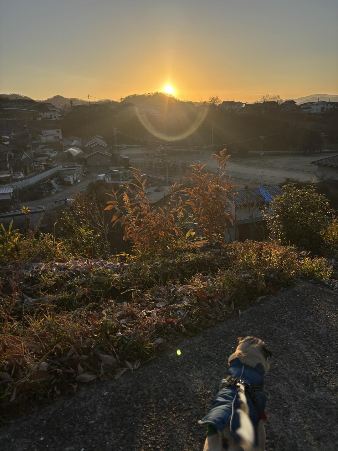 八尾山 / ktakuさんの亀ヶ岳・八尾山・府中アルプスの活動データ | YAMAP / ヤマップ