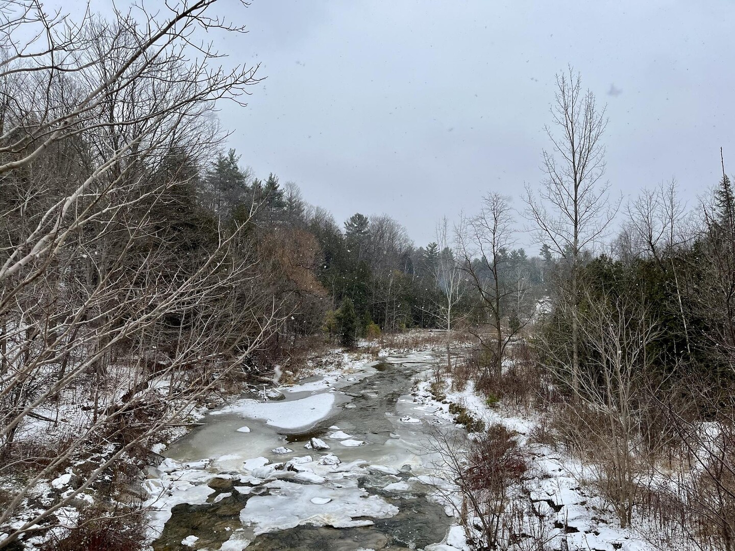 Rouge 9 Beare hill / iris さんのルージュ・ナショナル・アーバン・パークの活動データ | YAMAP / ヤマップ