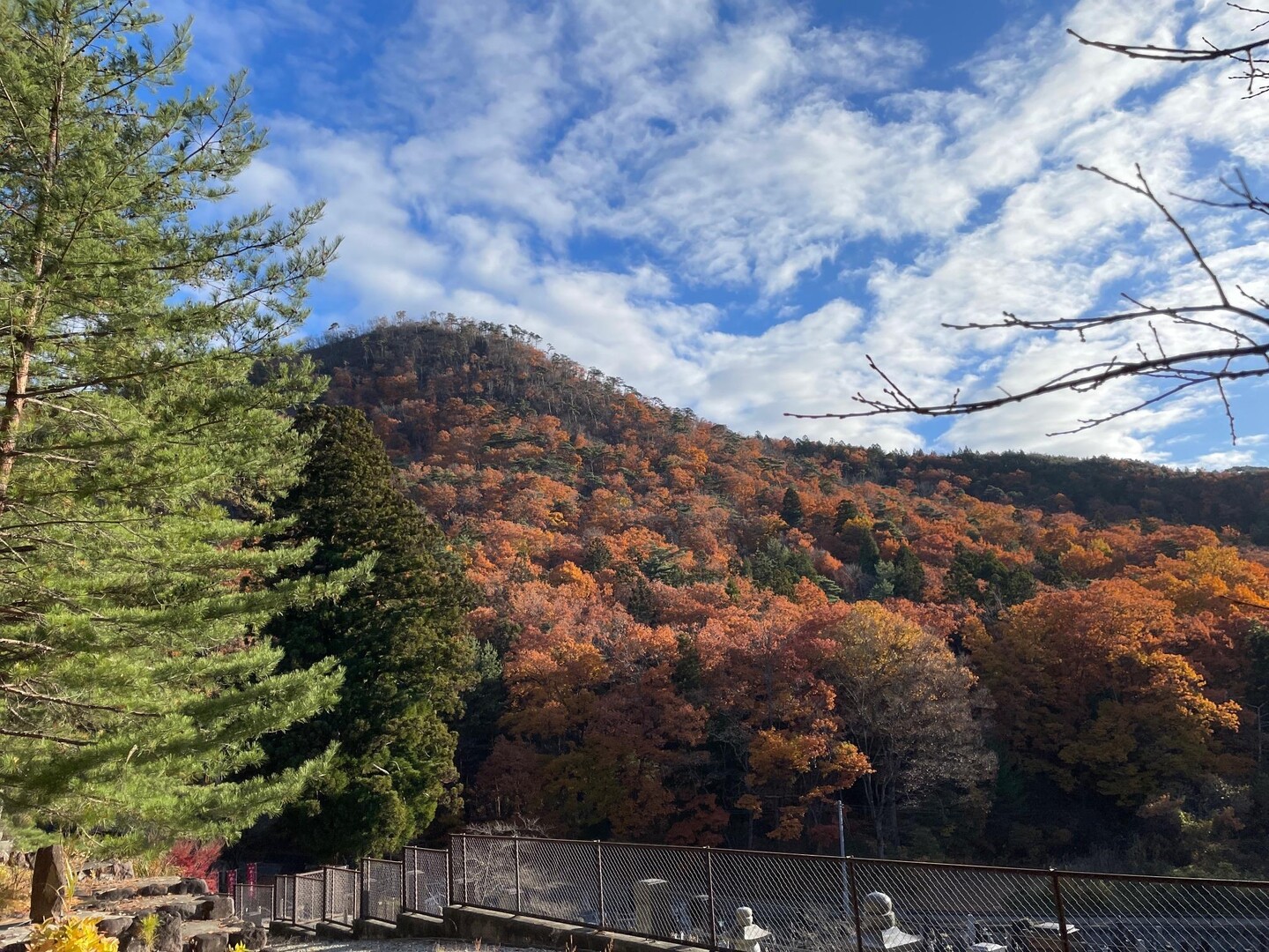 初冬 奥千歳山 古の物語 / あずきさんの千歳山・猿岡山・戸神山の活動データ | YAMAP / ヤマップ