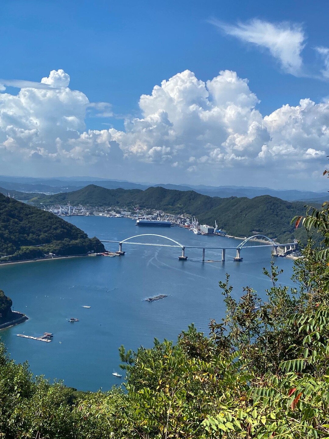 竜王山 / benchanさんの彦山・臼木山の活動データ | YAMAP / ヤマップ