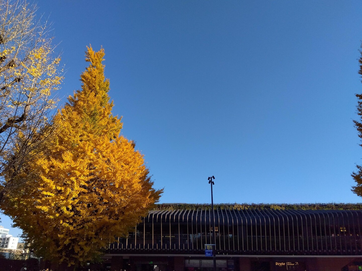 3連休じゃないけれど〜恒例になりつつある... / ポメmomoさんのモーメント | YAMAP / ヤマップ