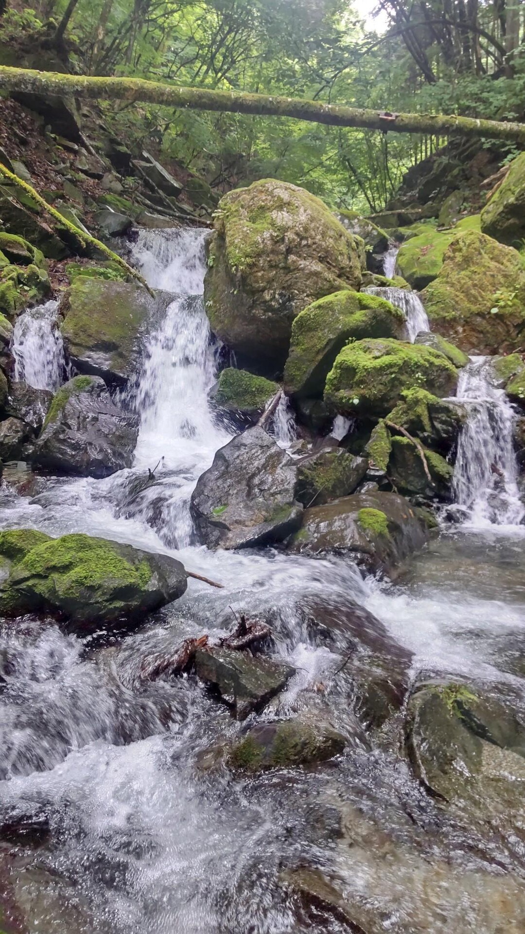 2019年10月12日に日本列島を襲った... / B.Bearさんのモーメント | YAMAP / ヤマップ