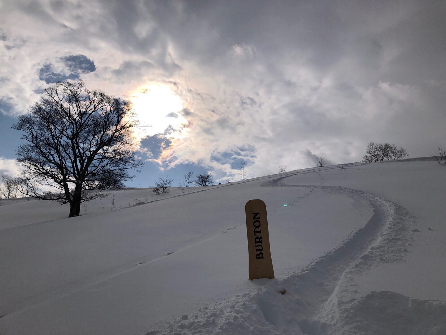 丸加山 / 社長さんの滝川市の活動データ | YAMAP / ヤマップ