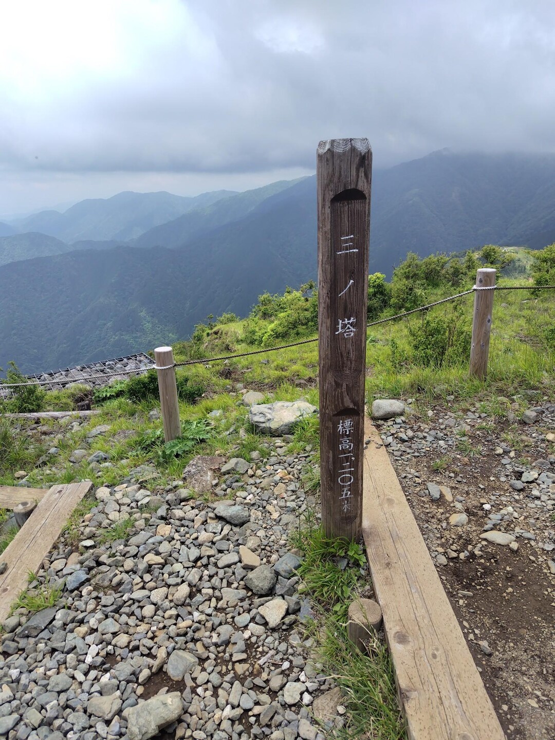 250回目の丹沢 / 奄美湯湾岳さんの大山の活動データ | YAMAP / ヤマップ