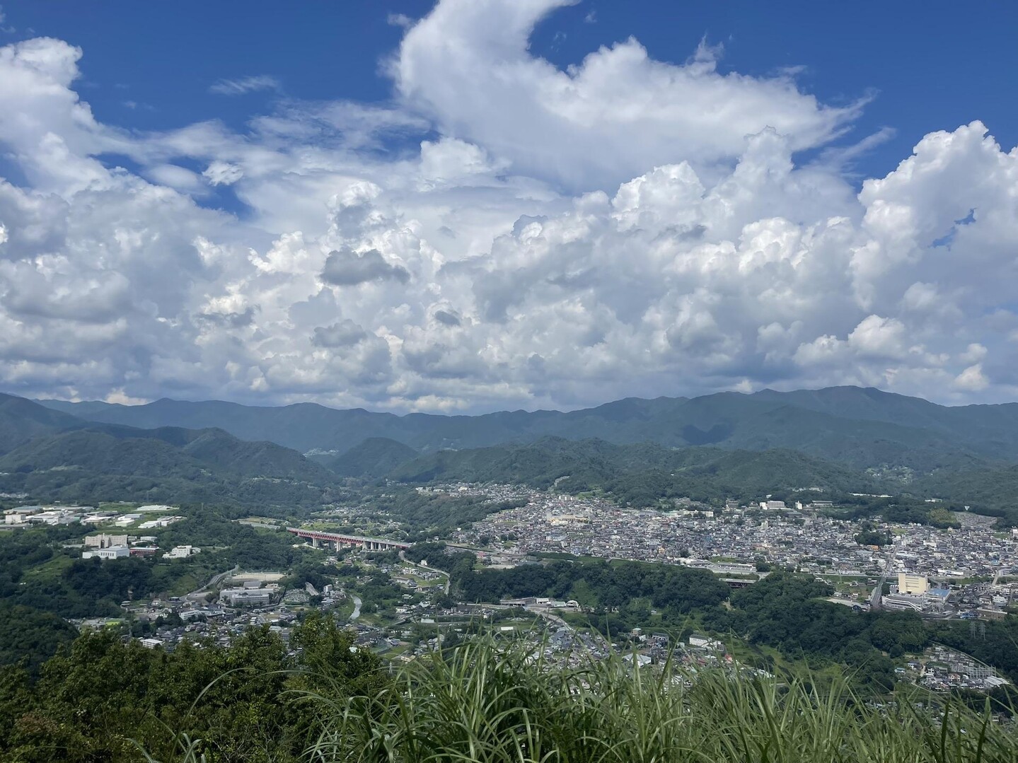 酷暑: 鶴島御前山 / Thrillerさんの倉岳山・高畑山・九鬼山の活動データ | YAMAP / ヤマップ