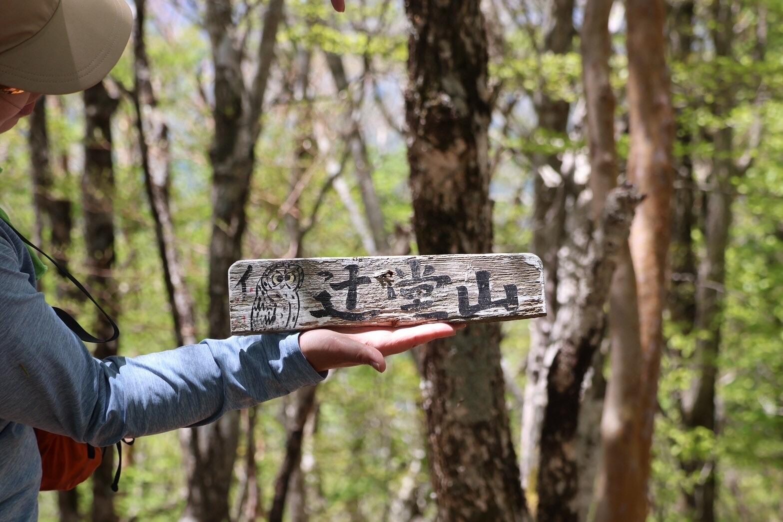 関西遠征‼︎DAY2-2辻堂山 / のりたまさんの大台ヶ原山・日出ヶ岳・大杉谷の活動データ | YAMAP / ヤマップ