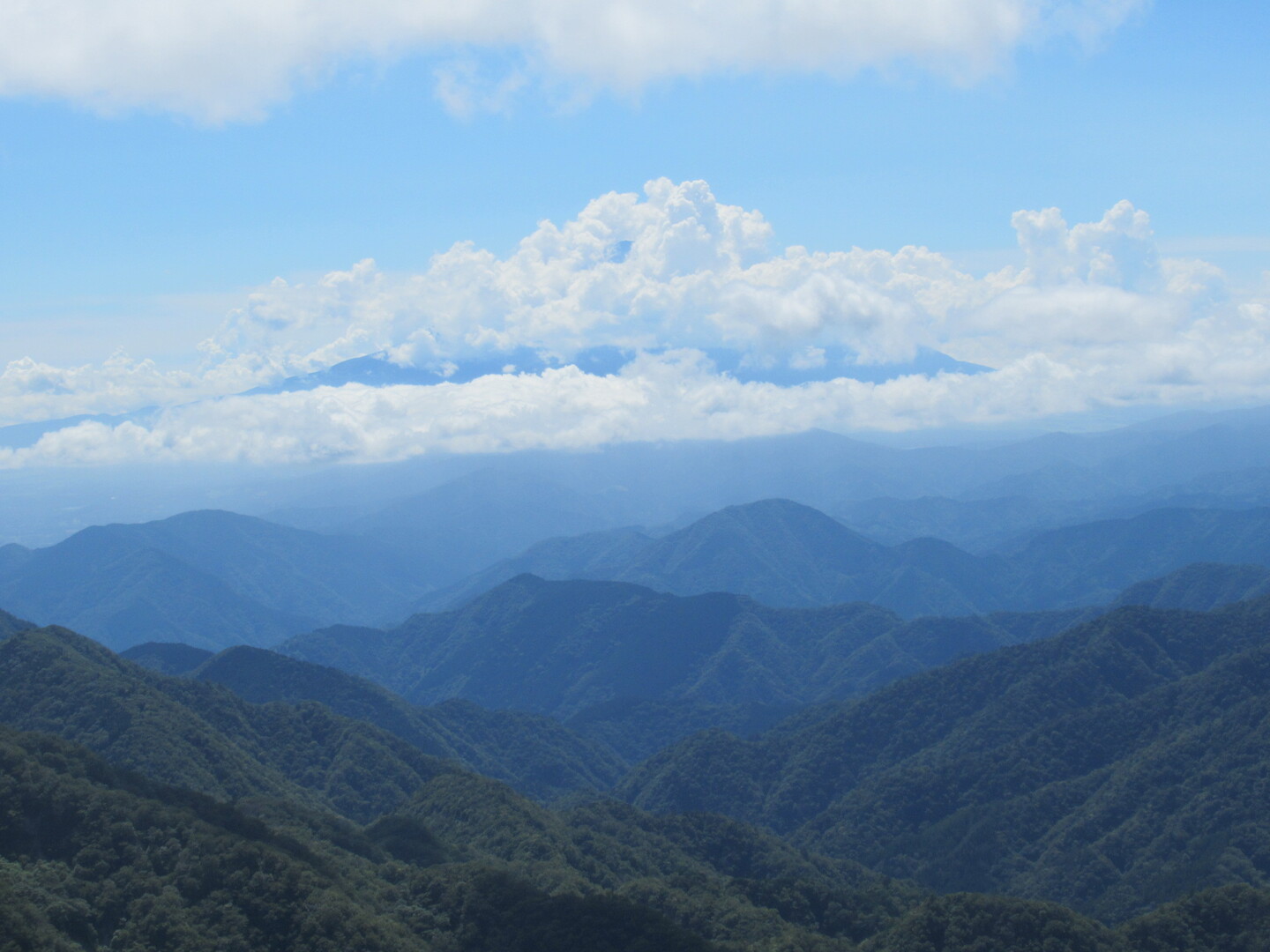 猛暑日に塔ノ岳🥵 / ryuyuさんの丹沢山の活動データ | YAMAP / ヤマップ