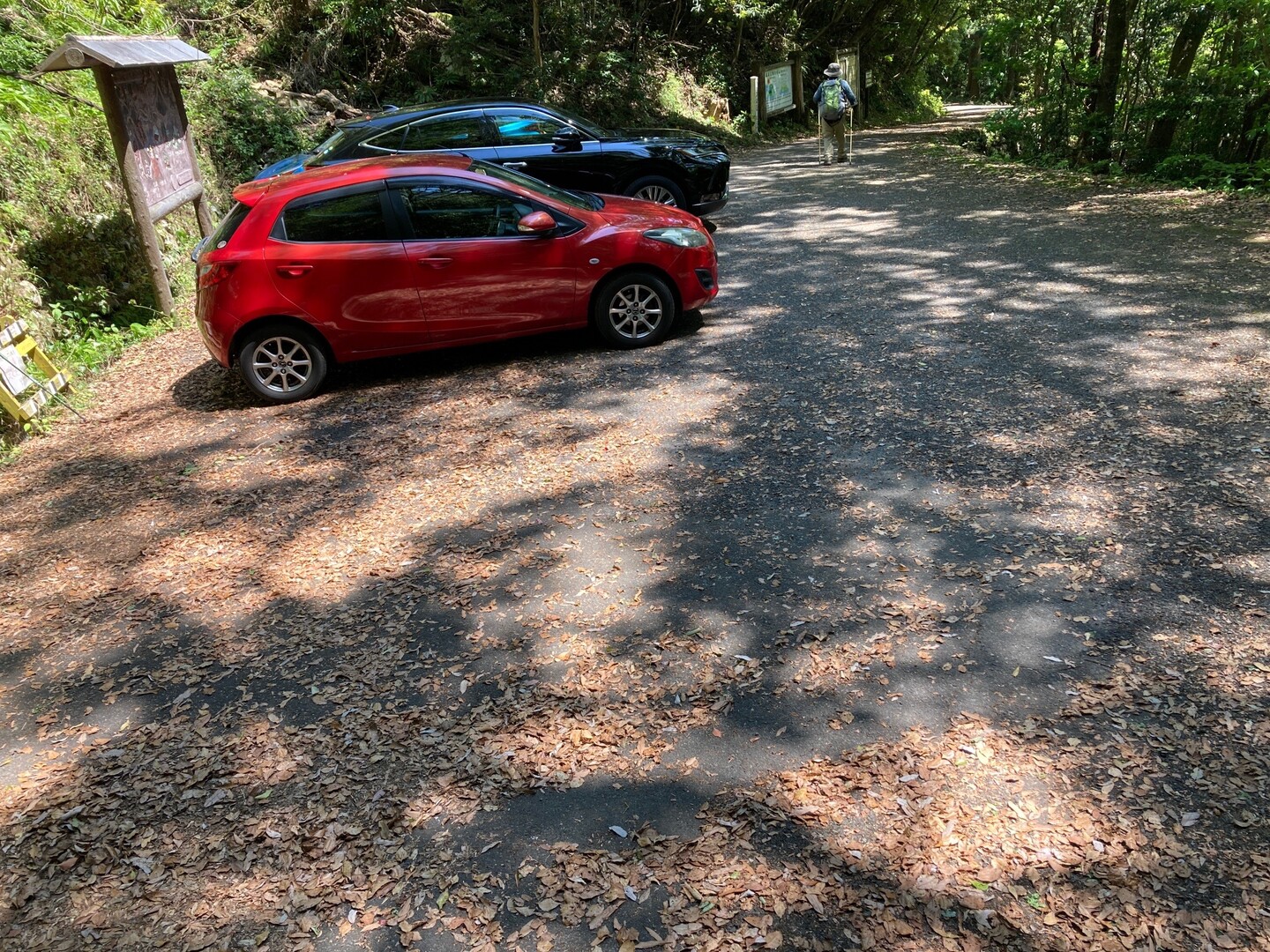 skyloveさんの投稿したフィールドメモ | YAMAP / ヤマップ