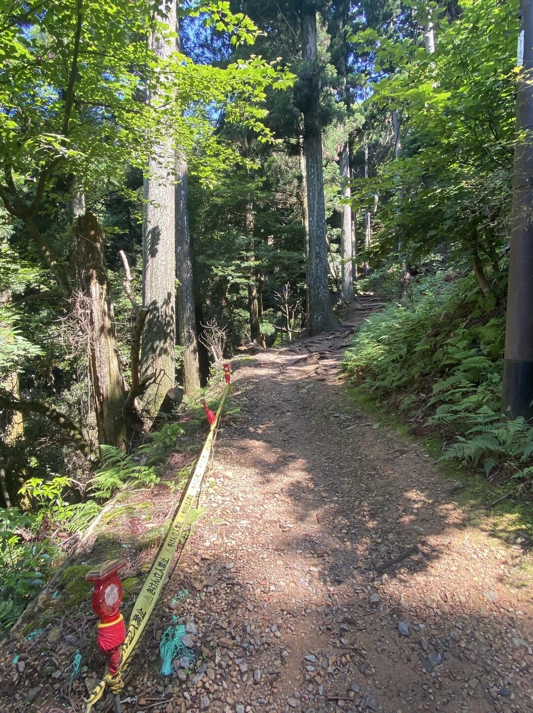 🐻注意／京都愛宕山(愛宕神社)熊情報 ... / Nobuさんのモーメント | YAMAP / ヤマップ