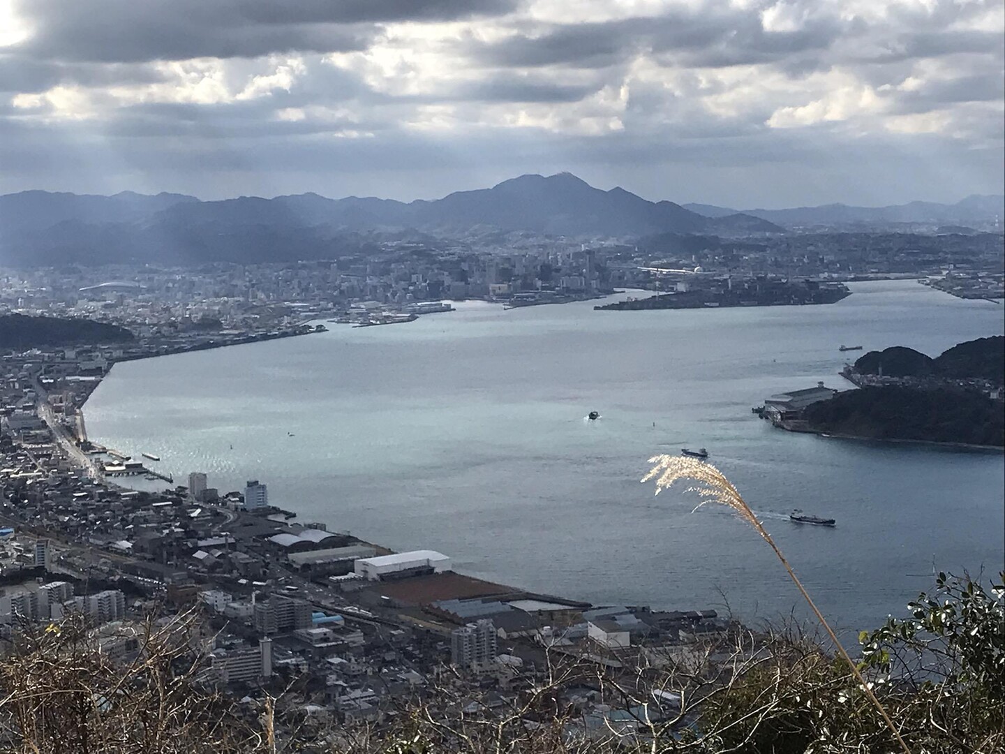これで登り納め 走り納め⁉️ー企救縦走路トレラン&199ラン😇from 小倉駅 to小倉駅 / 天地人さんの足立山・戸ノ上山の活動データ | YAMAP / ヤマップ
