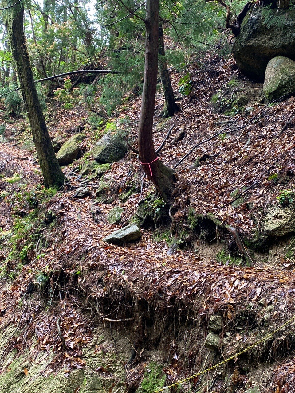 k2ma34さんの投稿したフィールドメモ | YAMAP / ヤマップ