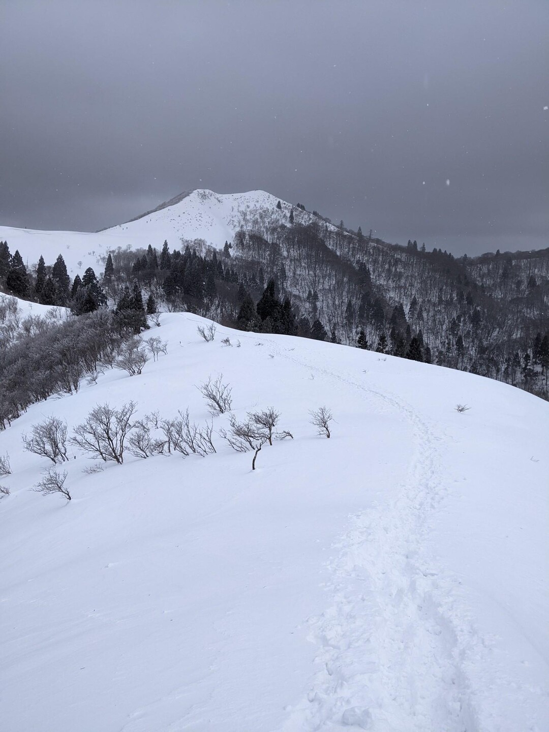 chikageのページ | YAMAP / ヤマップ