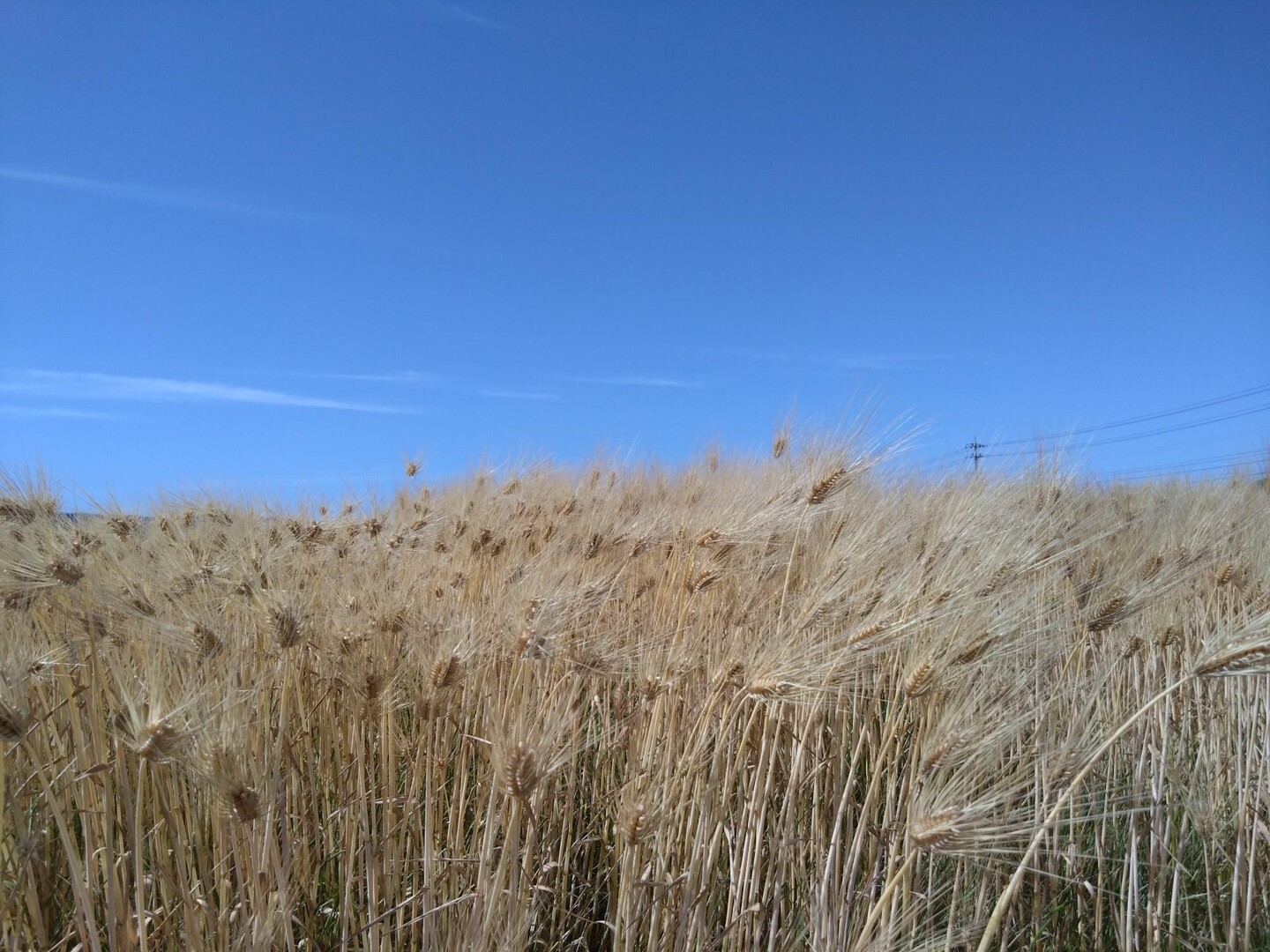 skyのページ | YAMAP / ヤマップ