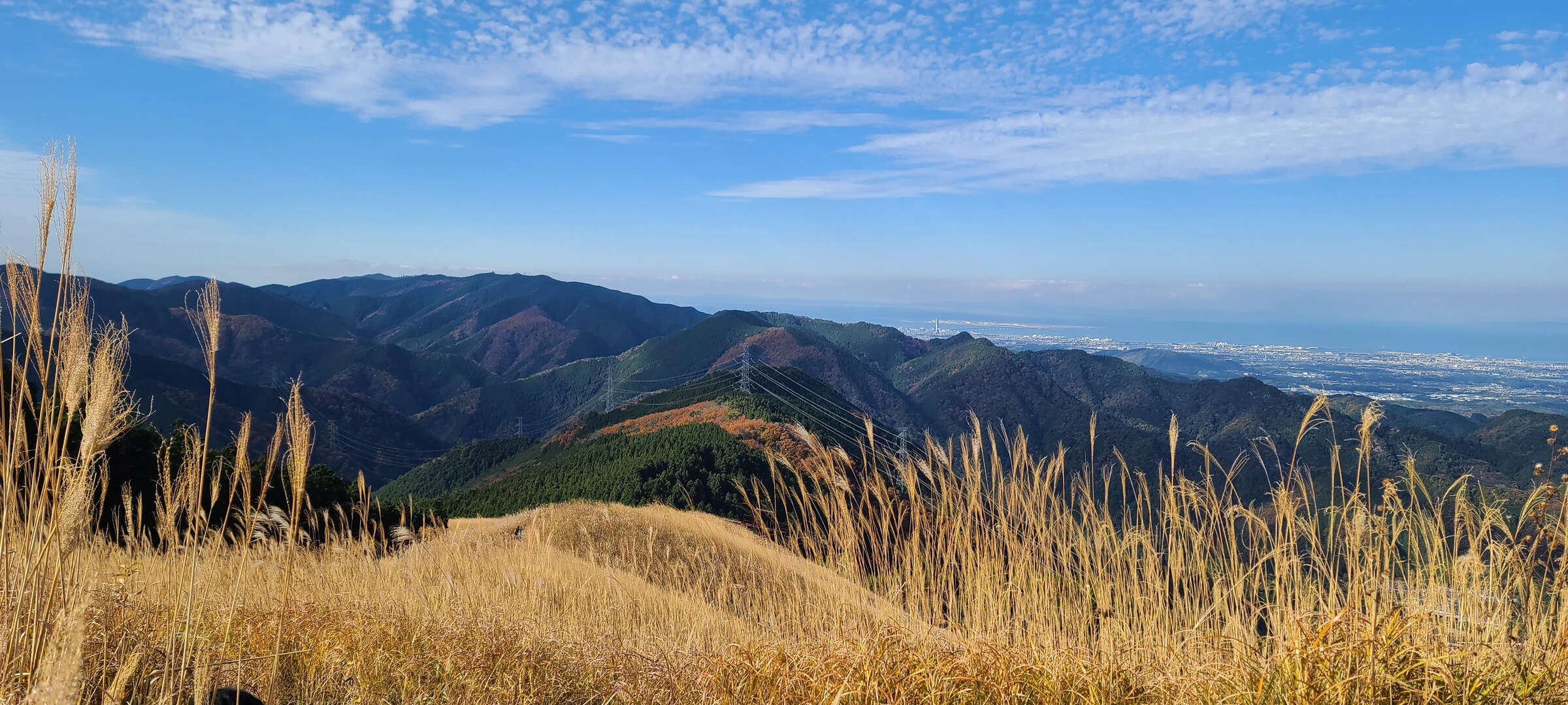 東峰・岩湧山・経塚山・根古峰 / 7D-U39さんの岩湧山・一徳防山・三石山の活動データ | YAMAP / ヤマップ