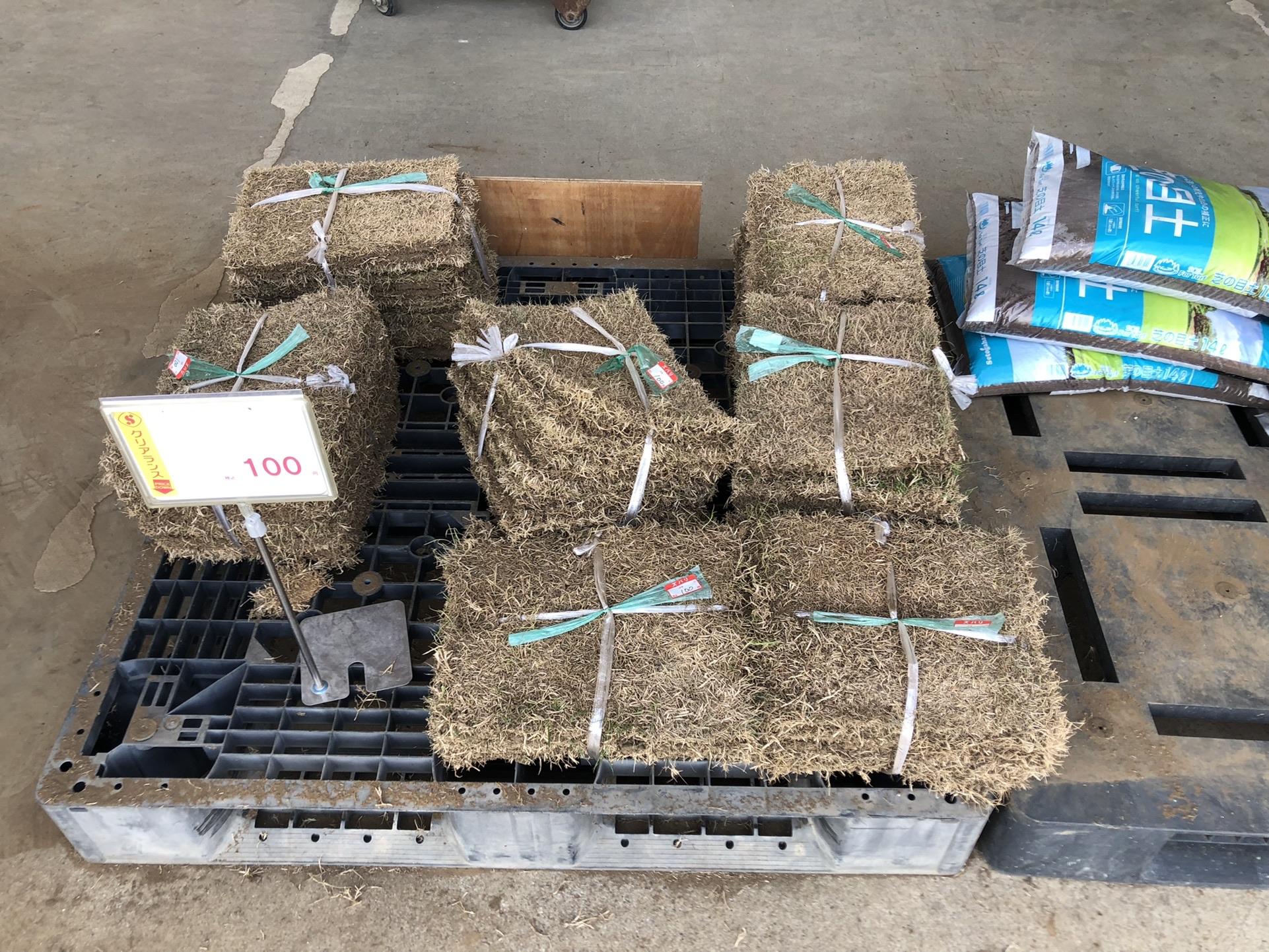 芝が発注ミスで大安売り🤣（普段は500... / やまじょぐ@富士山おじさんさんのモーメント | YAMAP / ヤマップ