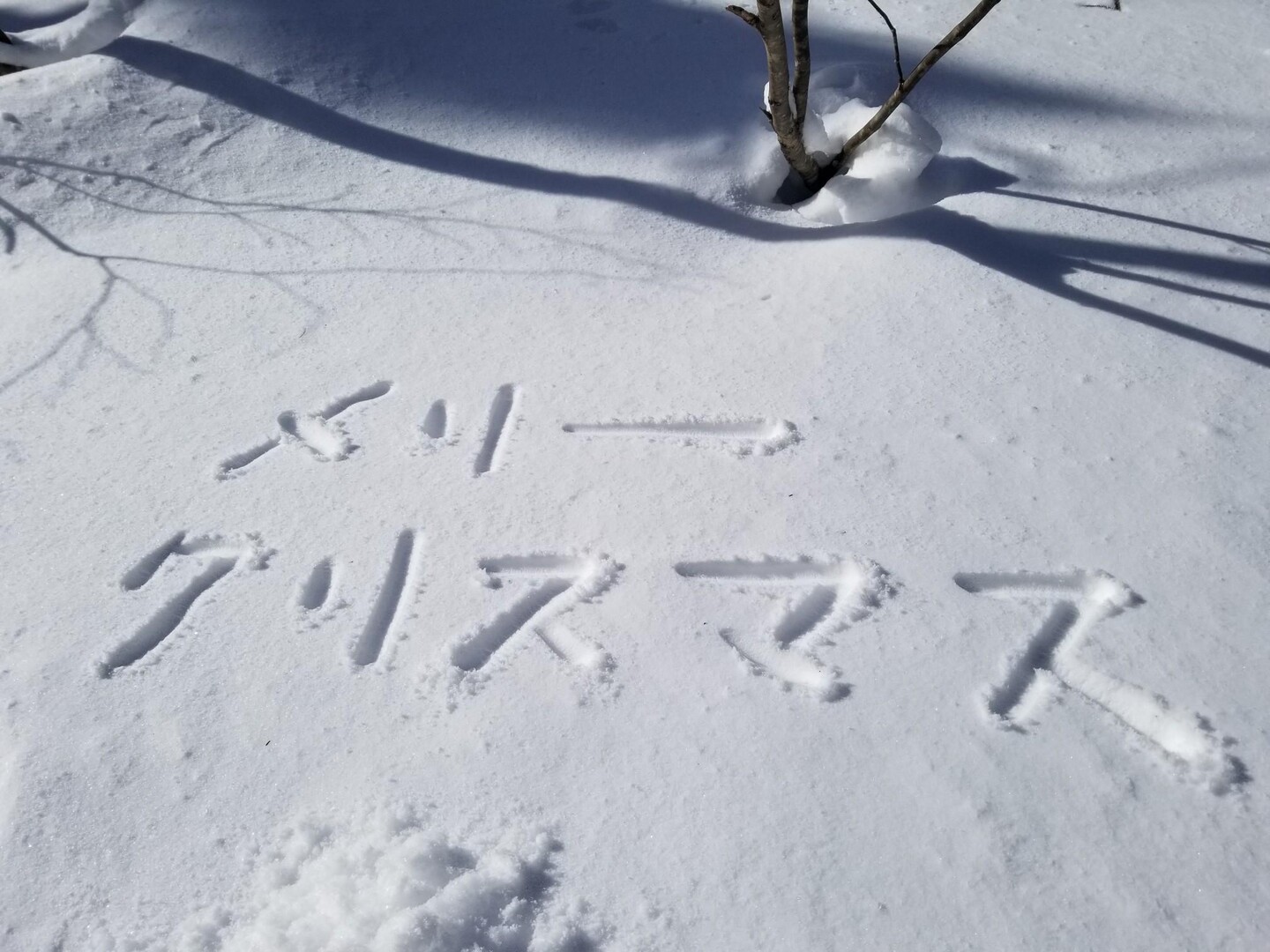 焼石岳・兎森山・鷲ヶ森山-2024-12-25 / KENSUKEさんの焼石岳・兎森山・鷲ヶ森山の活動日記 | YAMAP / ヤマップ